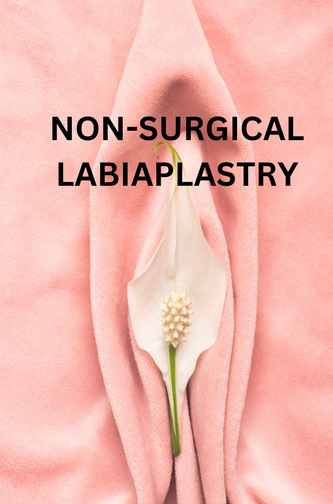 Non Surgical Labiaplasty Vitalitymdshop